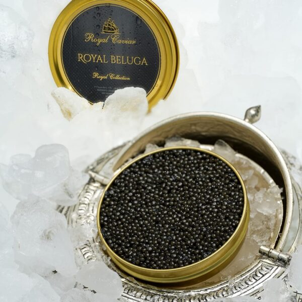 Buy Now - Smooth And Creamy Royal Beluga | Largest Sturgeon Online UAE